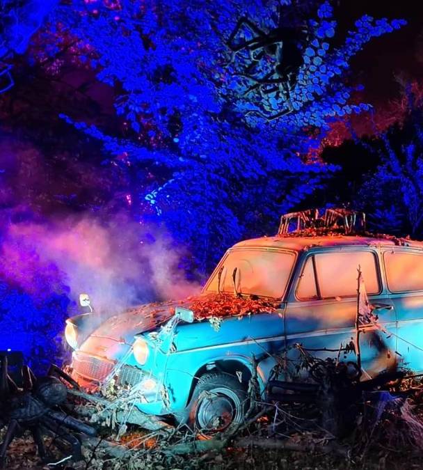 The Tarot Lounge: Mystical Tarot Readings In Chicago