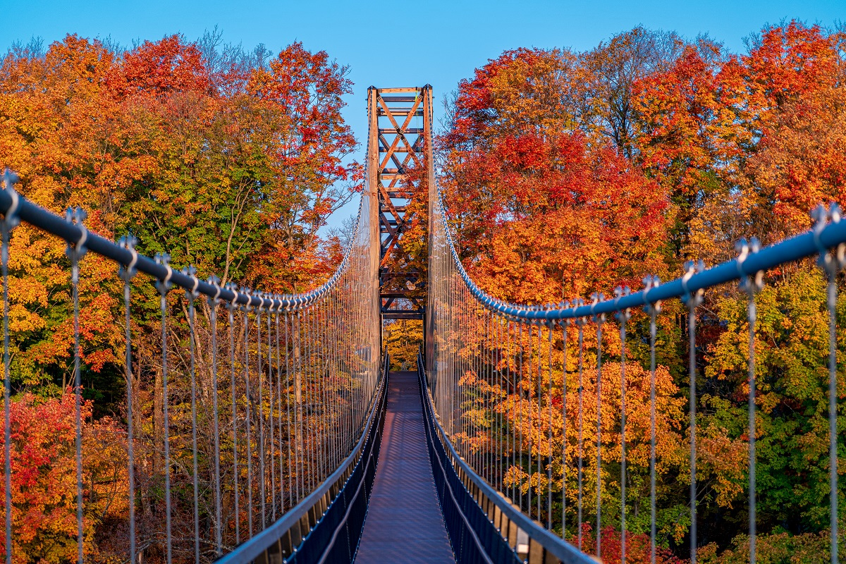 The World's Longest Timber Tower Suspension Bridge is in the Midwest ...