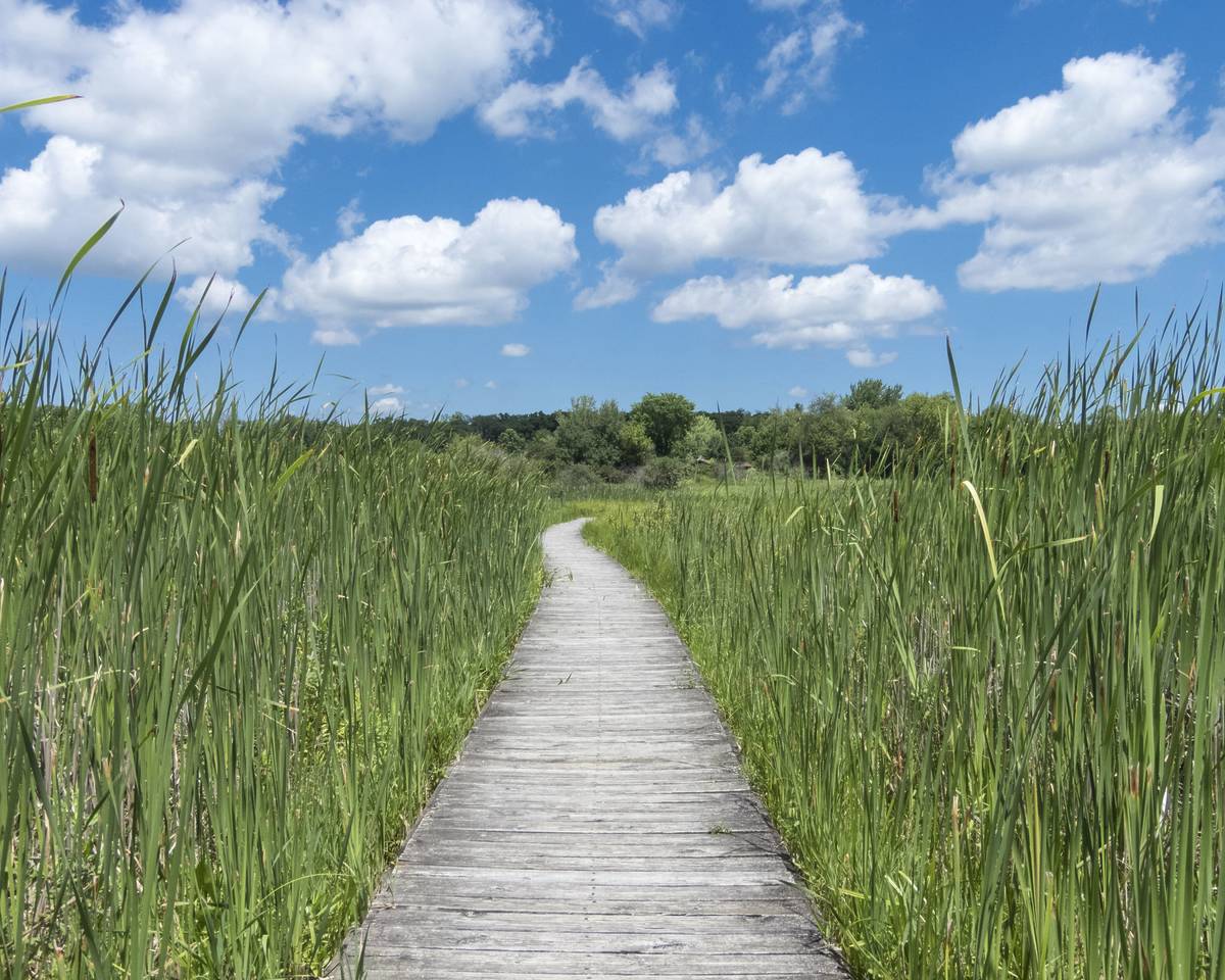 This Glacier-Carved Lake Is Only One Hour From Chicago—It's A Serene ...