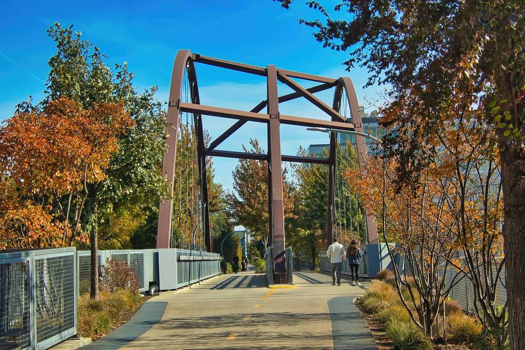 Chicago Reaches Goal of 68k Trees Planted by 2025