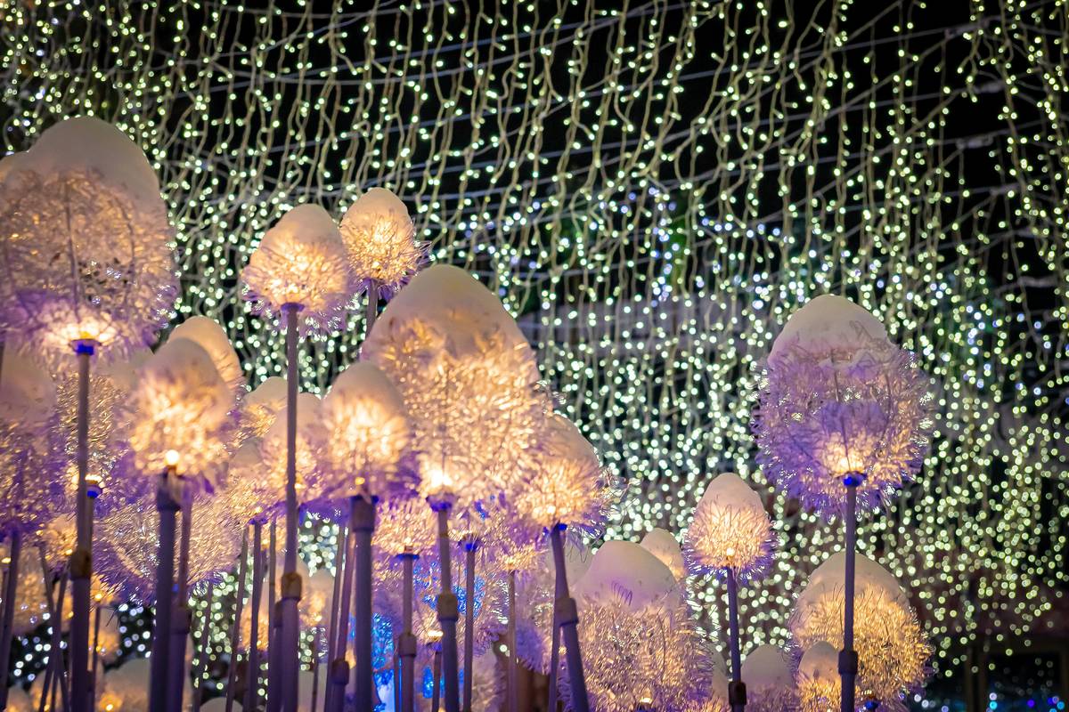 Completely FREE: The Magical Winter Wonderland Near Chicago With ...