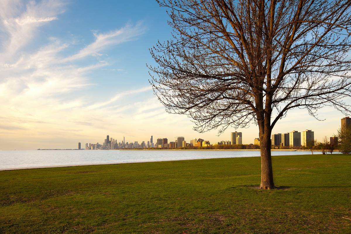 A Global Retail Giant Is Planning A New Development In This Chicago ...