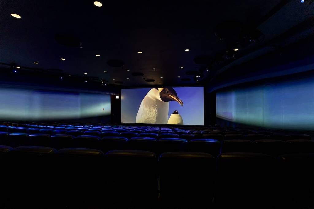 Shedd aquarium launches new immersive 4D film experience