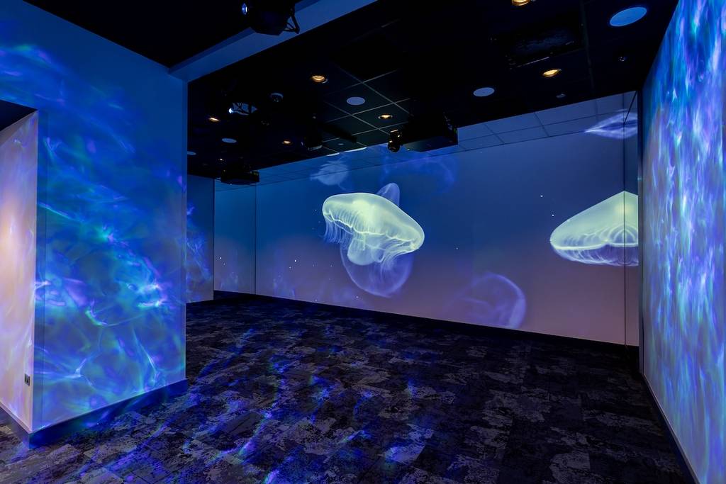 Shedd aquarium launches new immersive 4D film experience