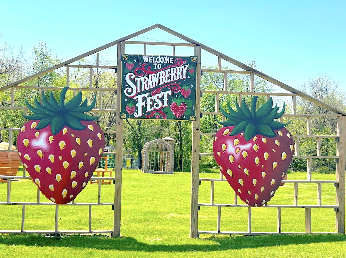 A massive strawberry fest near Chicago is happening this weekend