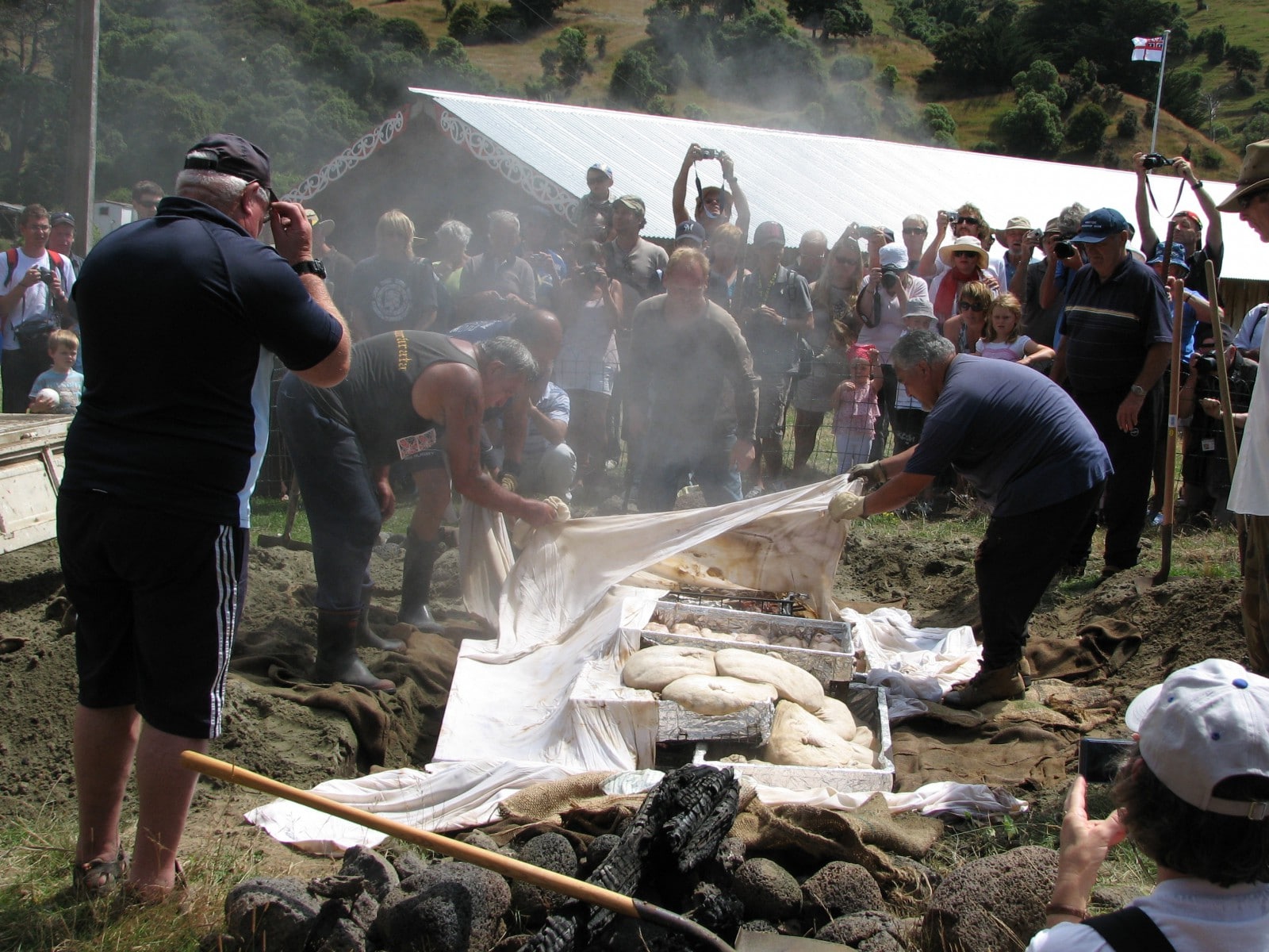 5 Of The Best Ways To Celebrate Waitangi Day 2021 In Christchurch