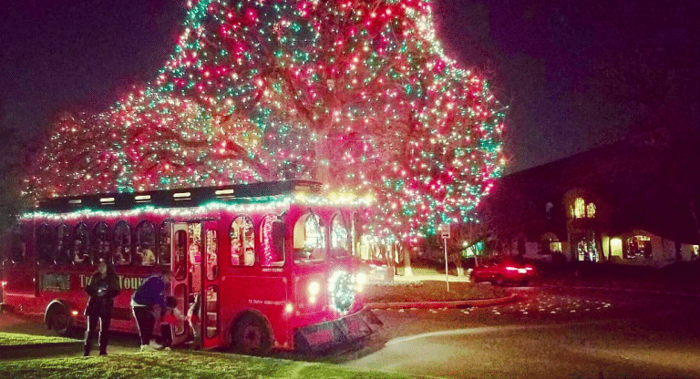 31 Fun And Festive Things To Do In Dallas In December