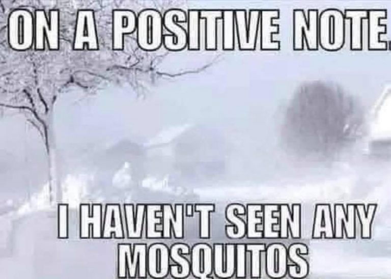 15 Memes From Discombobulated, Snow-Struck Texans Trying To Comprehend ...