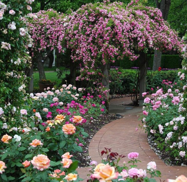 61 Fabulous Things To Do In Dallas This September