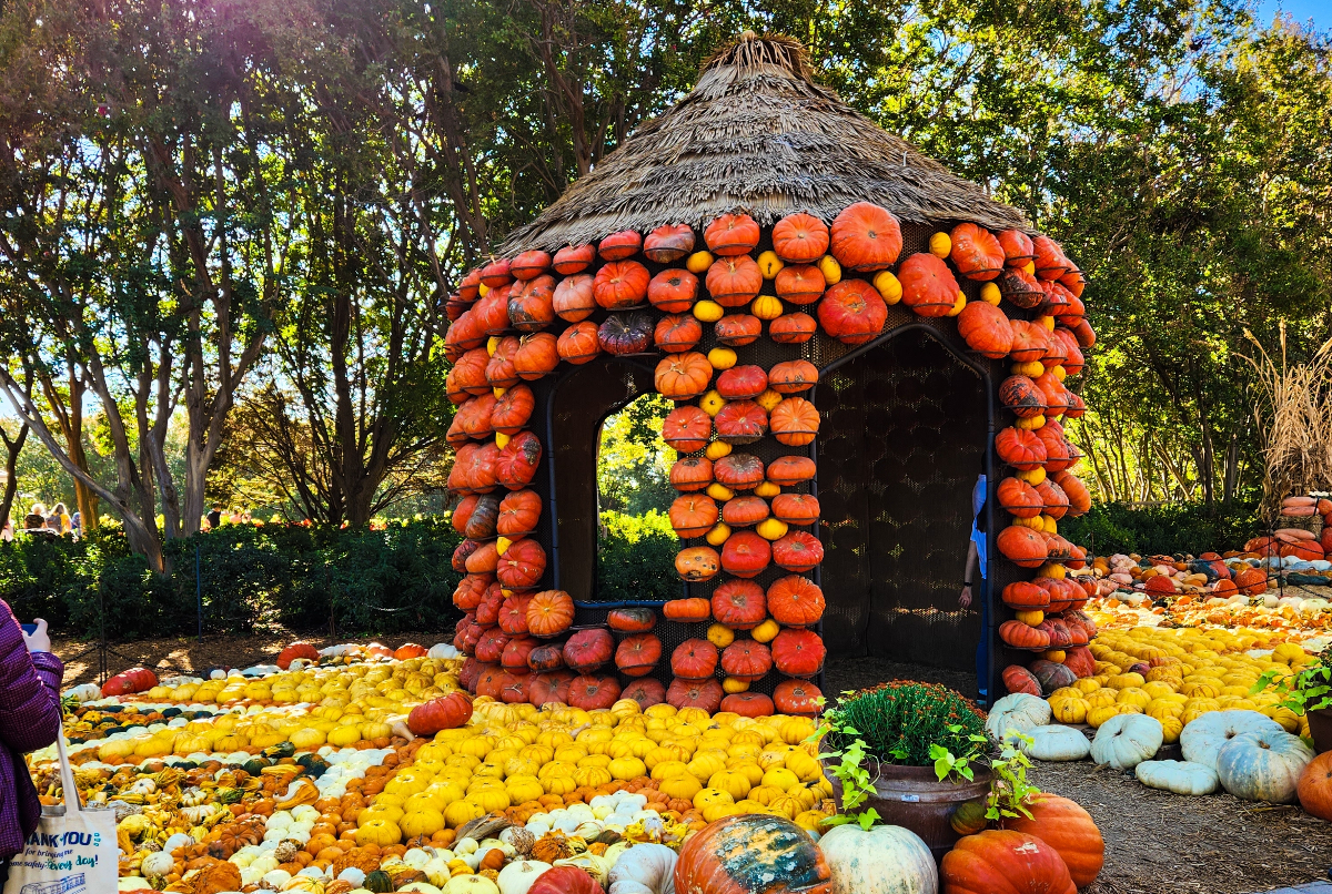 Dallas' Autumn At The Arboretum Has Returned For The Season With ...
