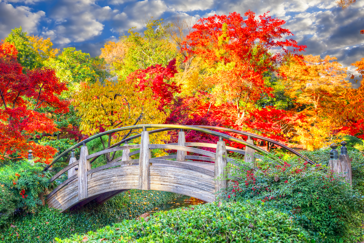 5 Phenomenal Things To Do This Fall In Dallas