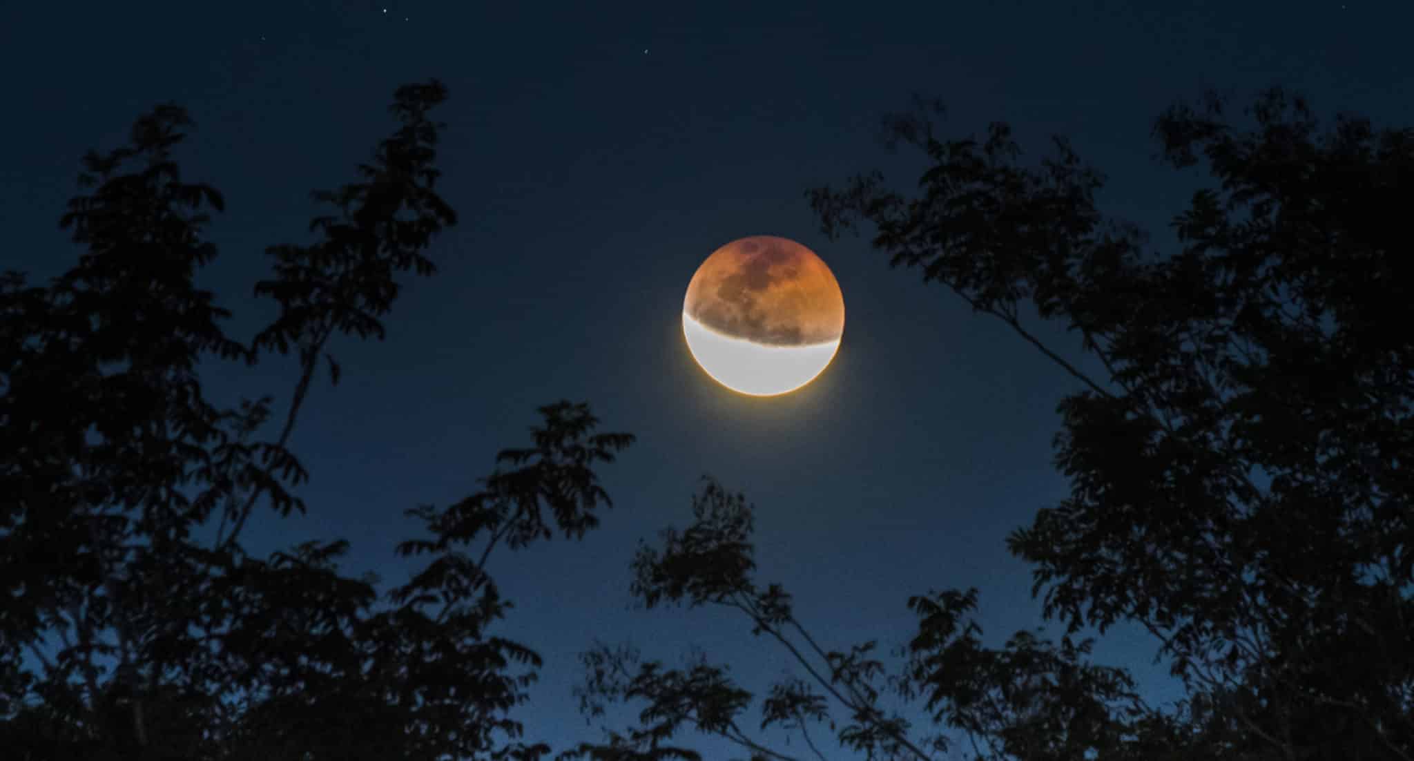 The Last Total Lunar Eclipse Until 2025 Will Illuminate Dallas Skies ...