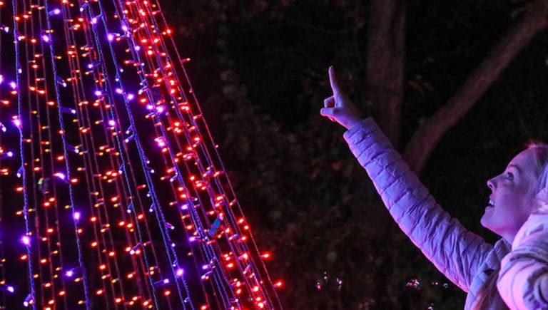 22 Enchanting Things To Do This December In Dallas