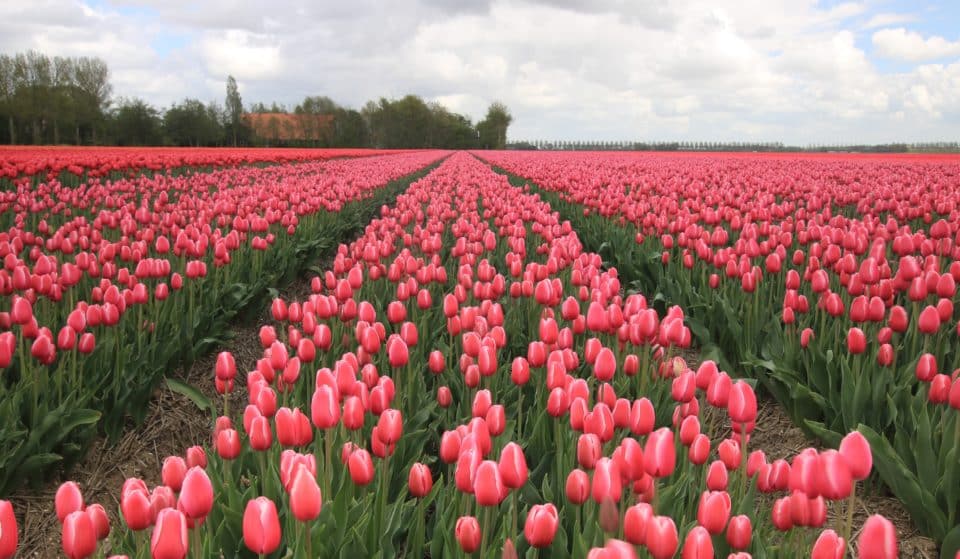 Day trips and getaways in and around Dallas