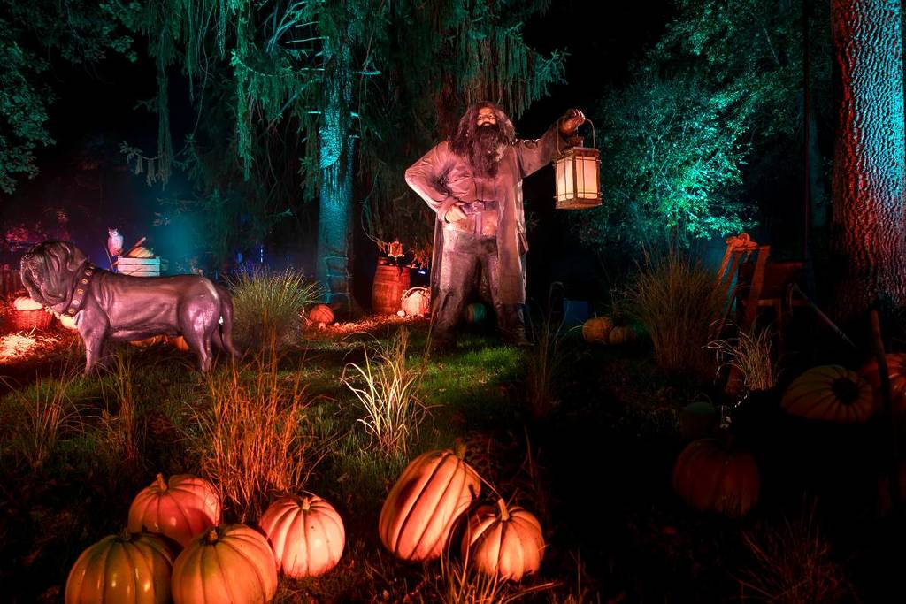 This Majestic Harry Potter Experience Is Open In Austin