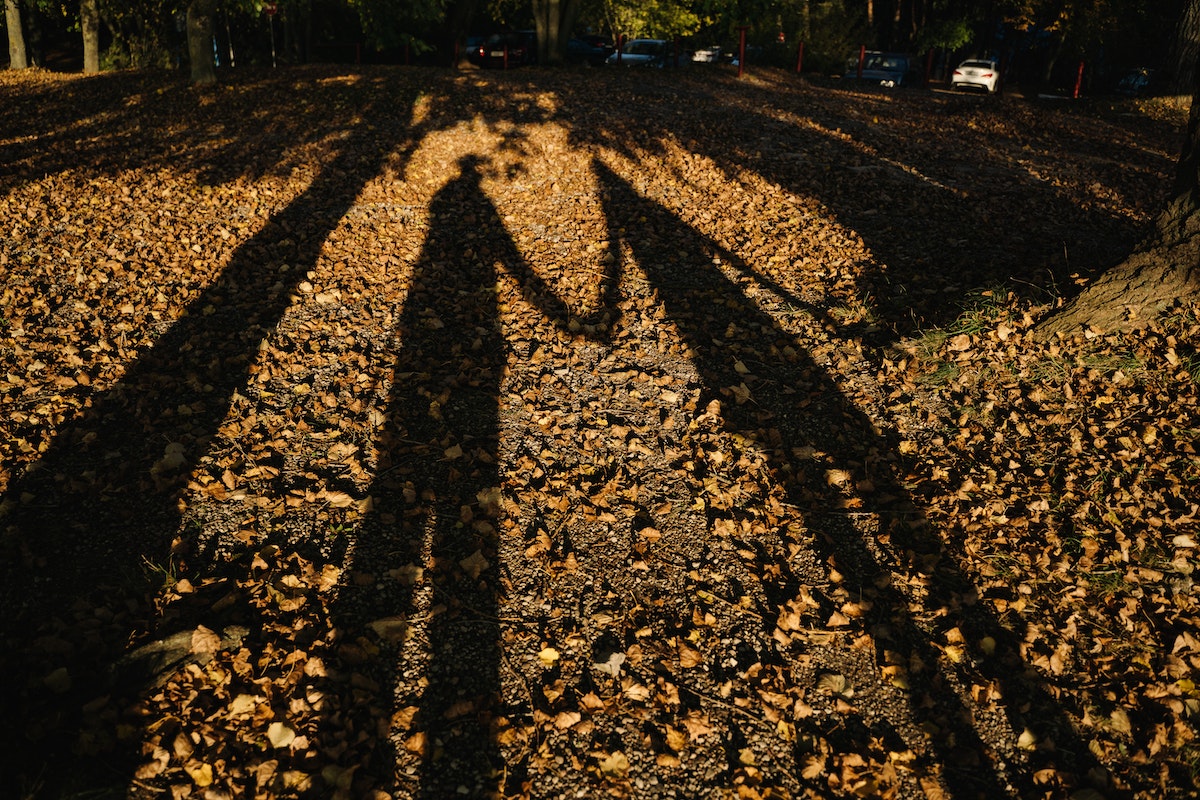 8 Incredible Fall Date Ideas To Try In Dallas