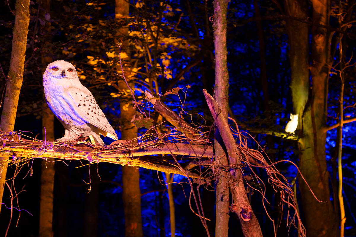 This Magical Harry Potter Experience Is Leaving The DFW Area