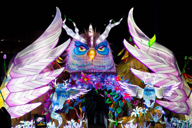 10 Sensational Christmas Lights Displays In Dallas