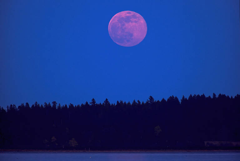 This Year's Closest Supermoon To Appear Big An Bright In Texas Skies ...