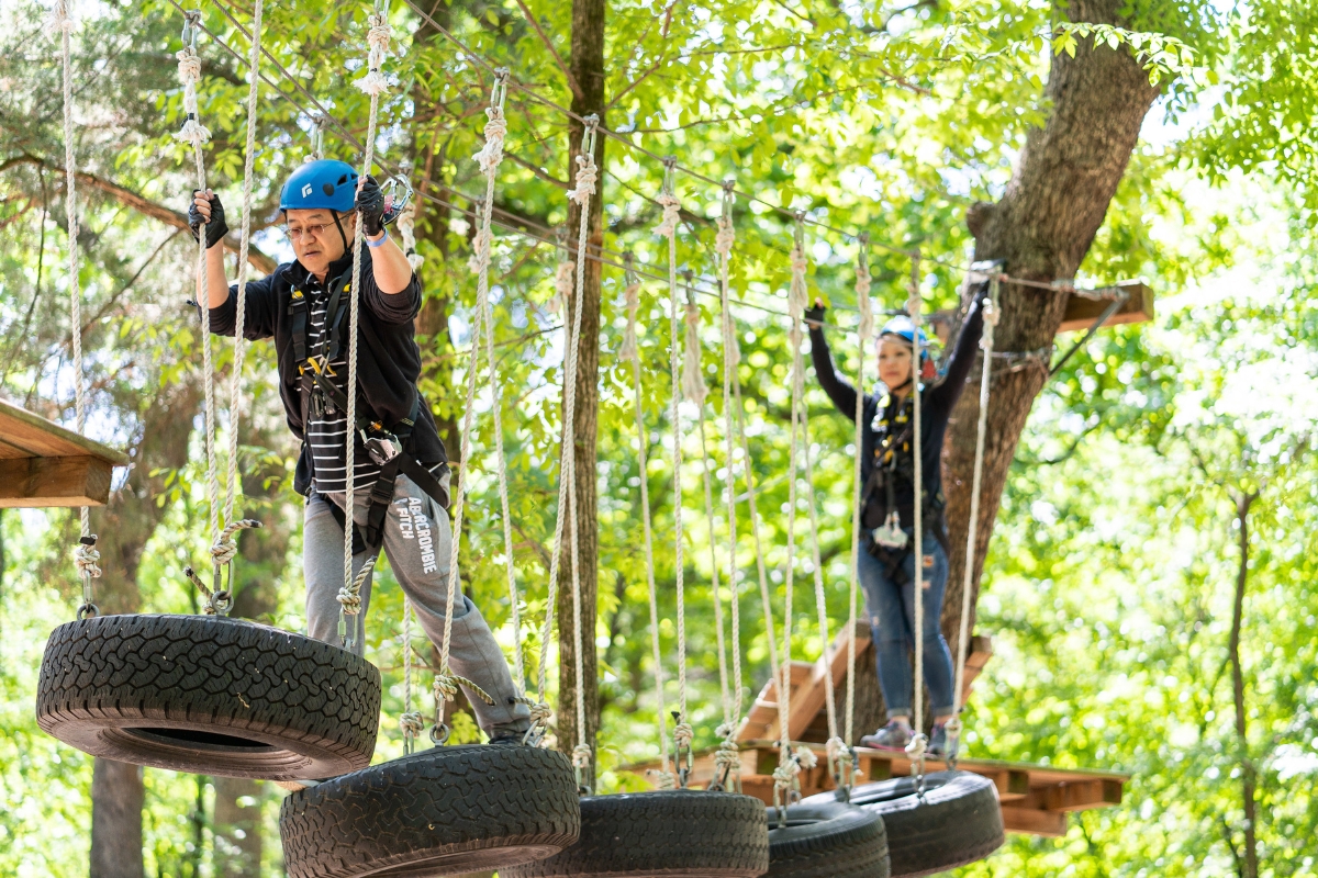 Get 40% Off Tickets To Trinity Forest Adventure Park With This Astra ...