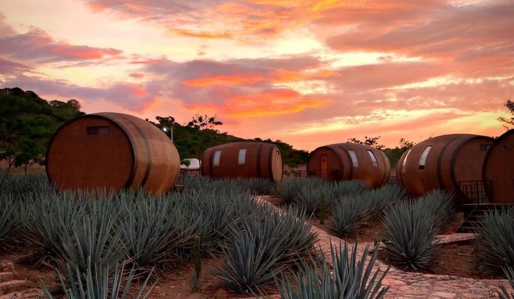 This Hotel In Mexico Lets You Sleep In A Giant Barrel And Drink Tequila ...