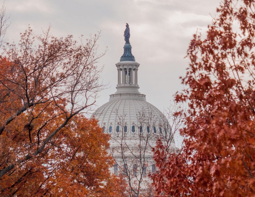 This Interactive Map Predicts When Fall Foliage Will Peak In D.C.—And ...