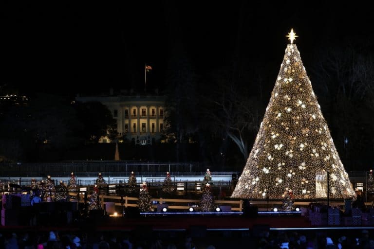 24 Delightful Things To Do In D.C. This December