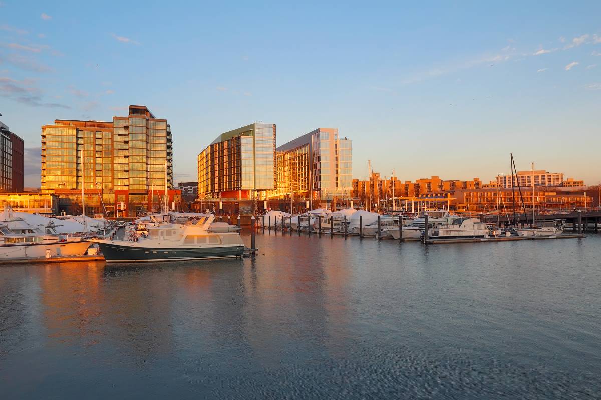 29 Fun-Filled Things To Do In D.C. This August