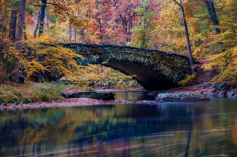 10 Instagram-Worthy Fall Destinations Around D.C. For Fall Photos