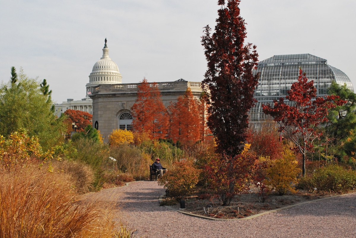 10 Places To See Fall Foliage And Changing Leaves Around D.C.