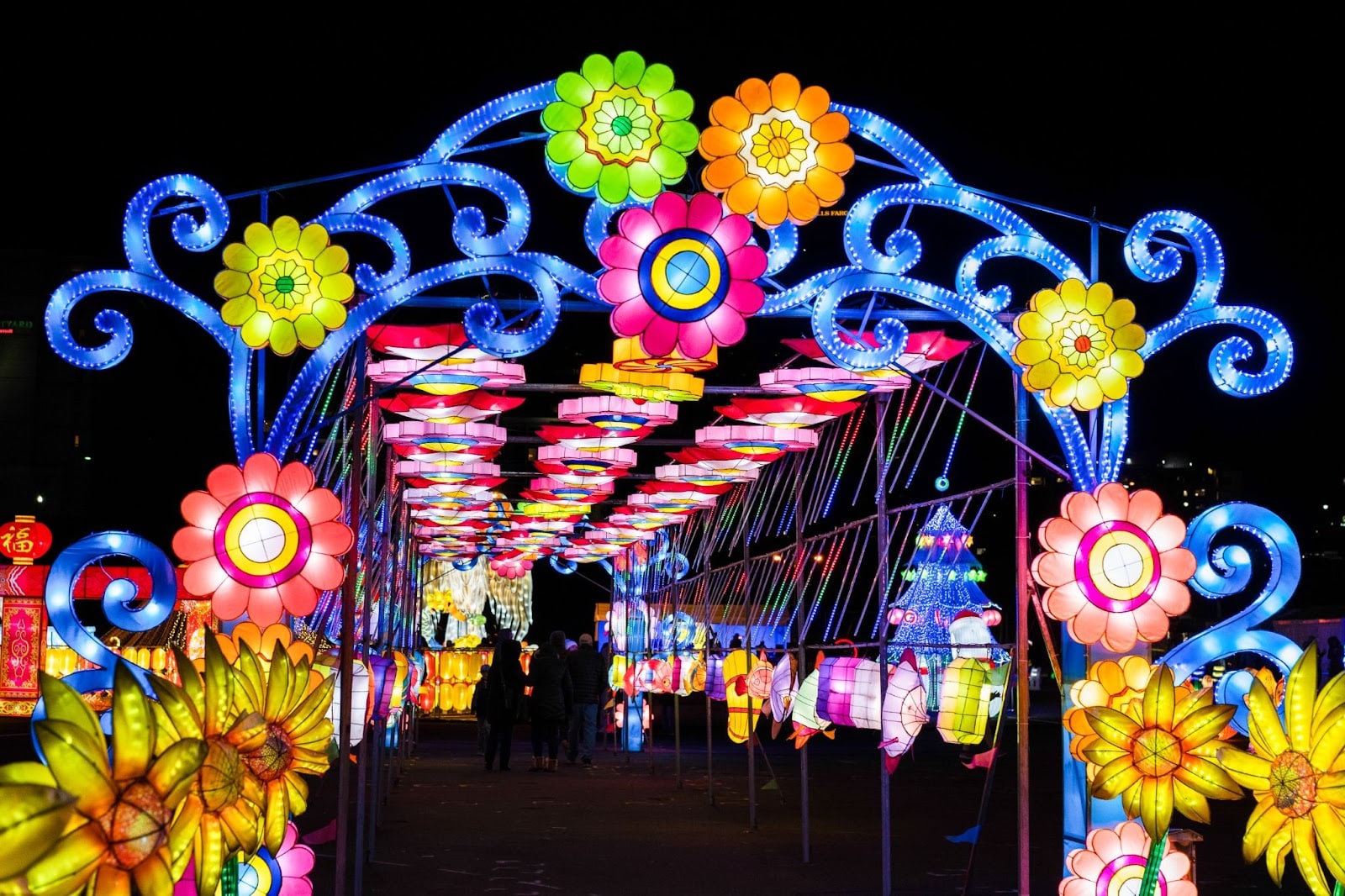 12 Best Things To Do With Kids This Winter In D.C.