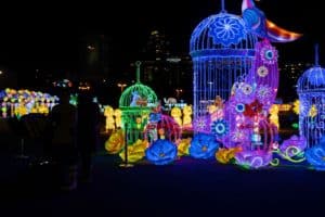 A Massive Winter Lantern Festival Is Leaving The DMV Area Soon