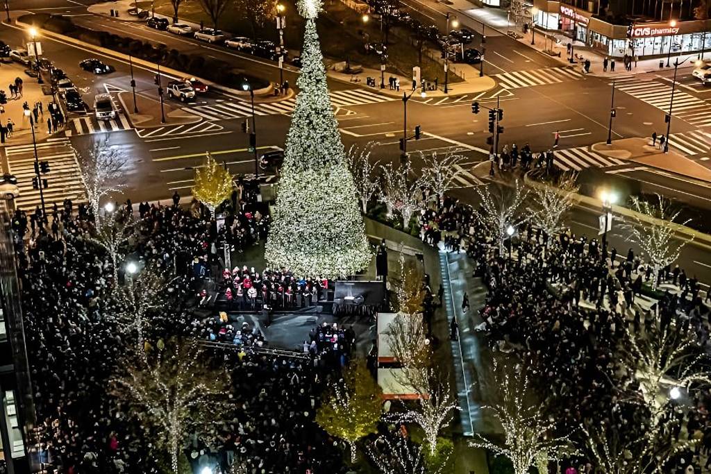 The Ultimate Guide To The Best D.C. Tree Lighting Ceremonies