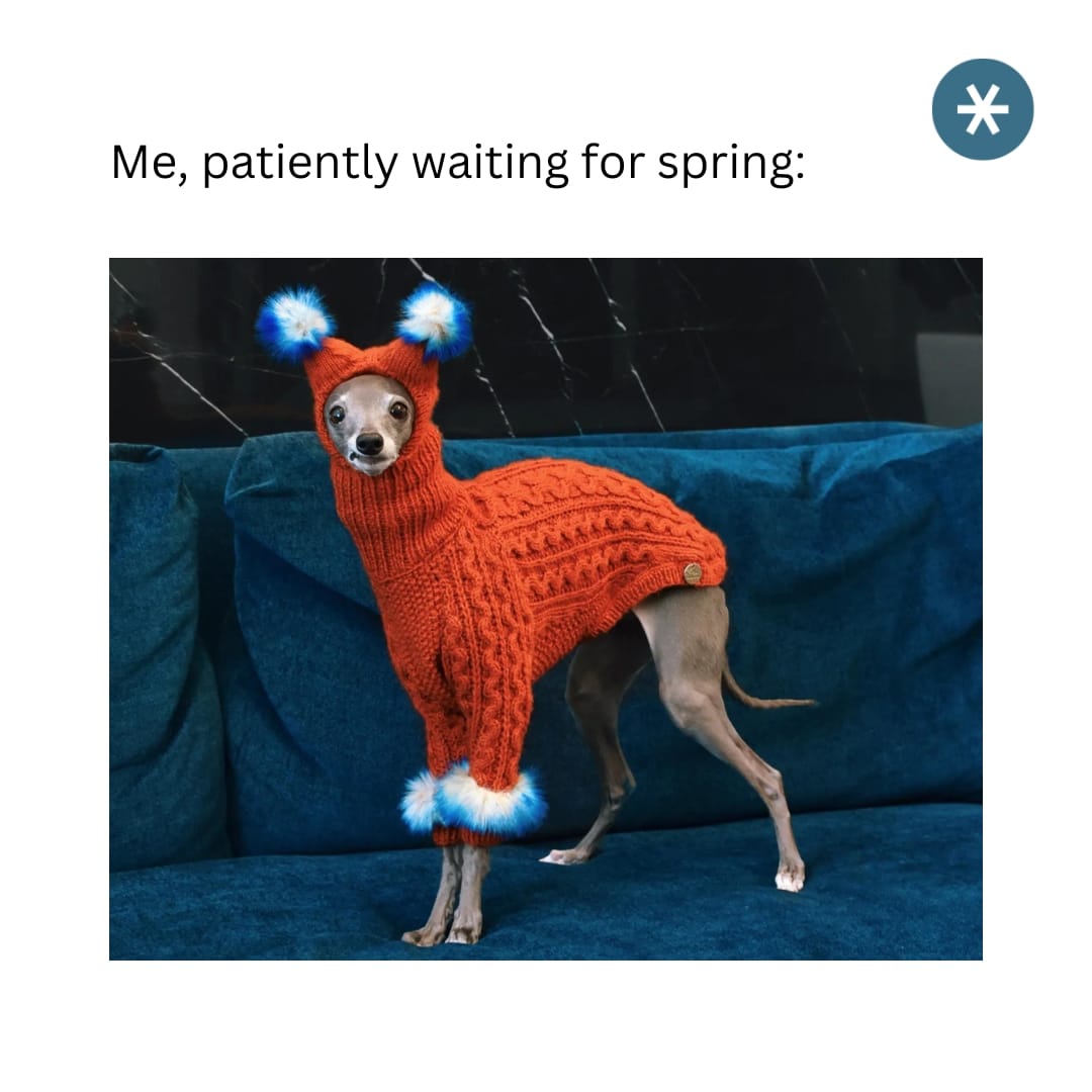 10 Hilarious Memes About Washingtonians And The Snow