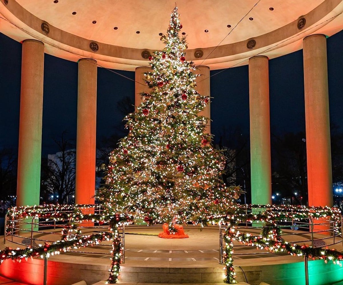 9 Magnificently Decorated Christmas Trees To Visit In D.C.