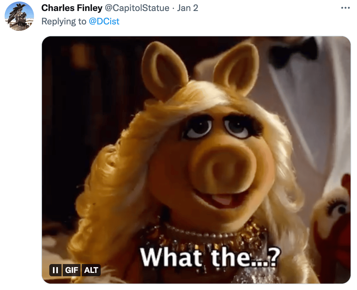 13 Funniest Reactions To The New Washington Commanders Mascot