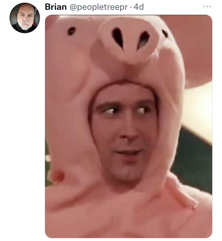 13 Funniest Reactions To The New Washington Commanders Mascot