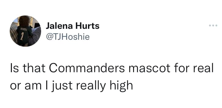 13 Funniest Reactions To The New Washington Commanders Mascot