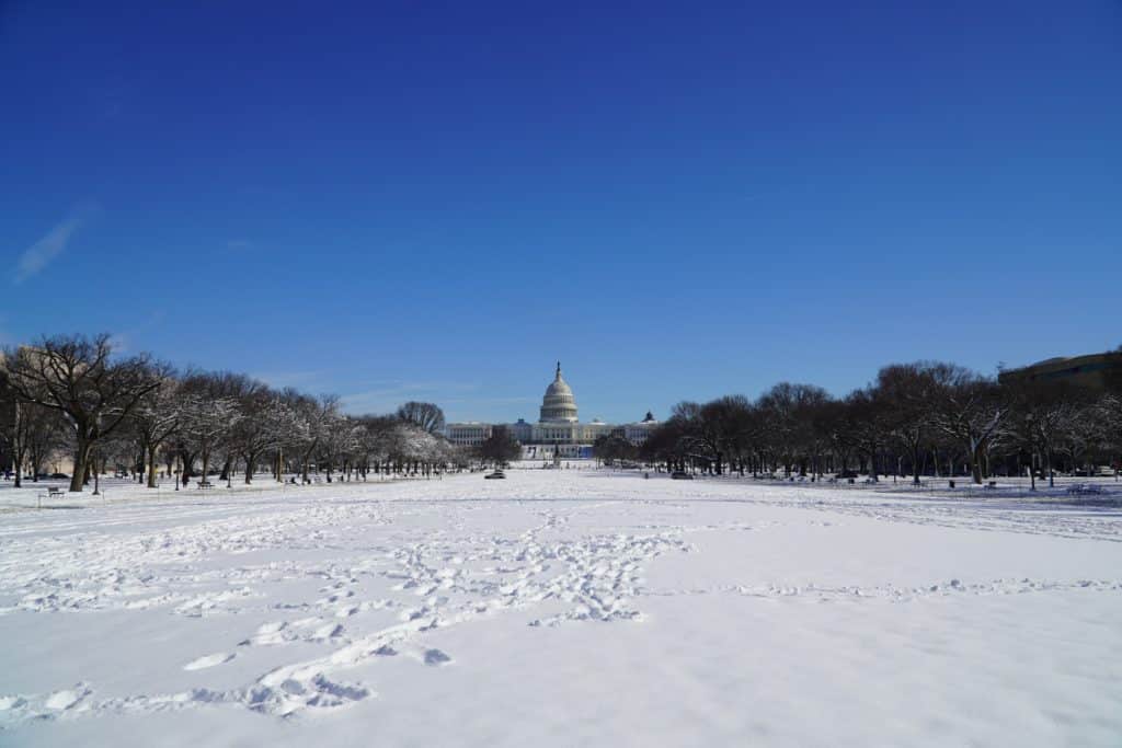 15 Best Things To Do With Kids This Winter In D.C.