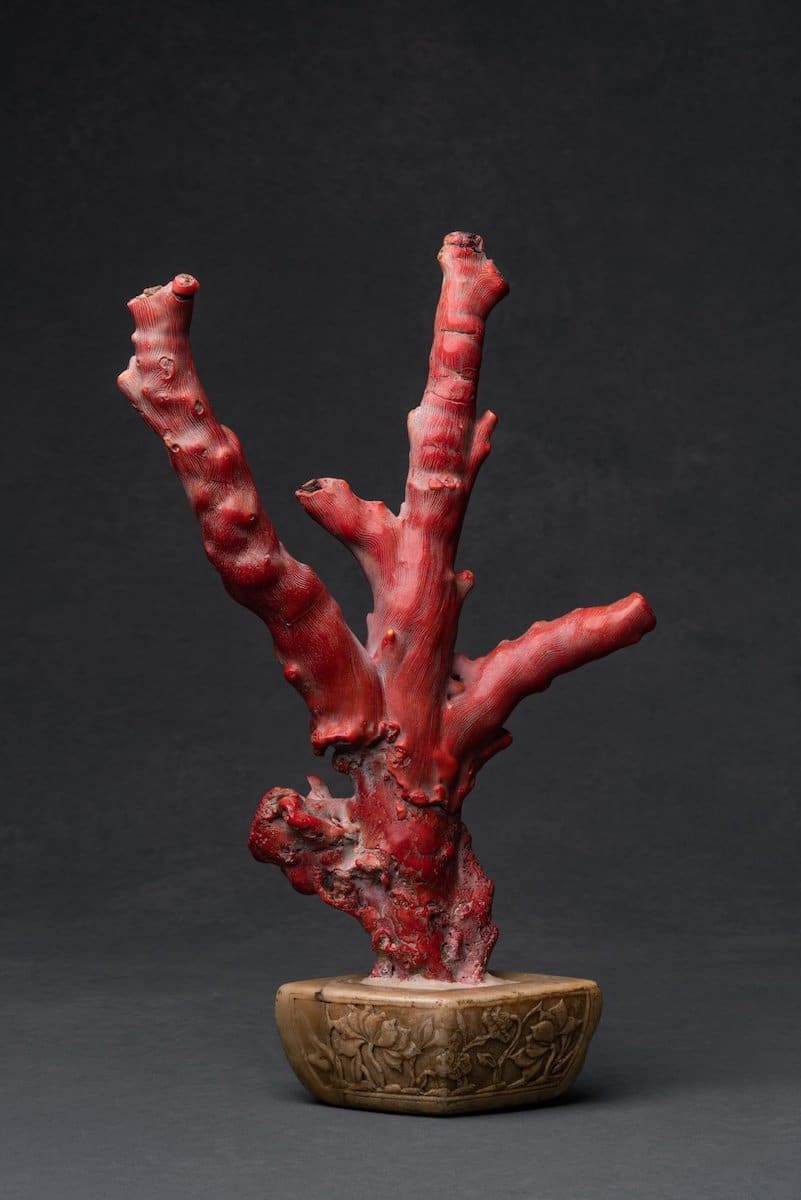 This Rocks! There's A New Exhibit On Display At The National Arboretum