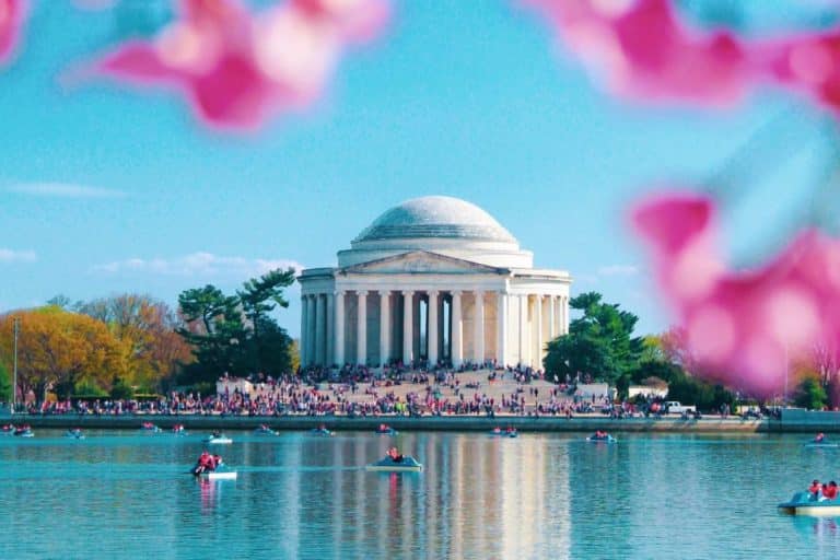 15 Kid-Friendly Spring Break Activities In Washington, D.C.