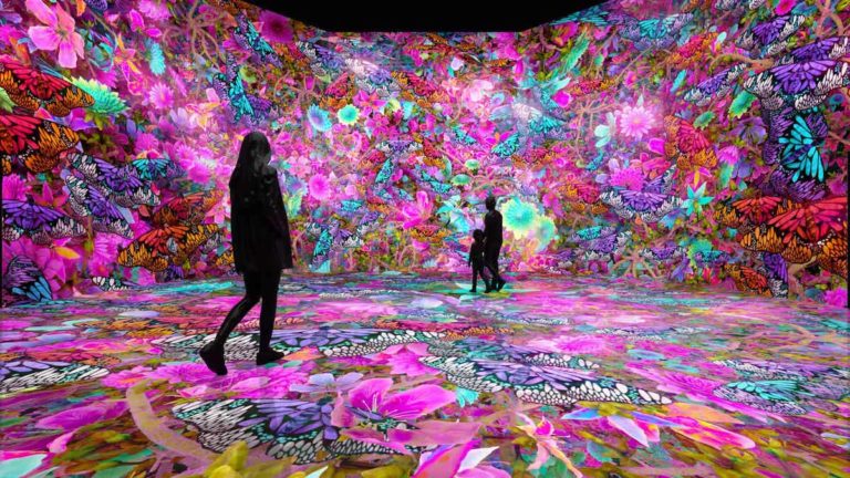 A Guide To The Best Museums Around D.C. To Visit At Least Once