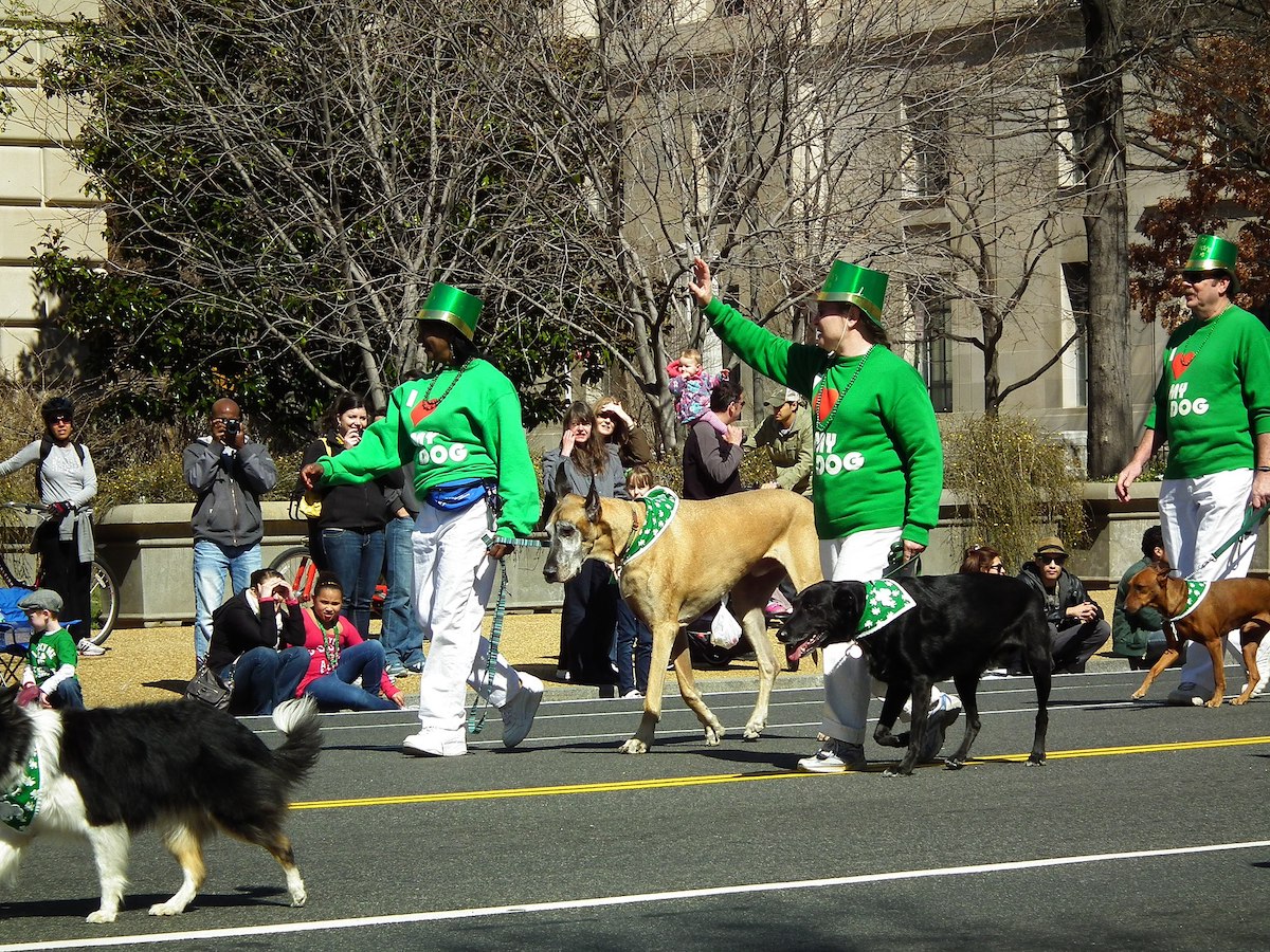 24 Fantastic Things To Do Around Washington, D.C. This March