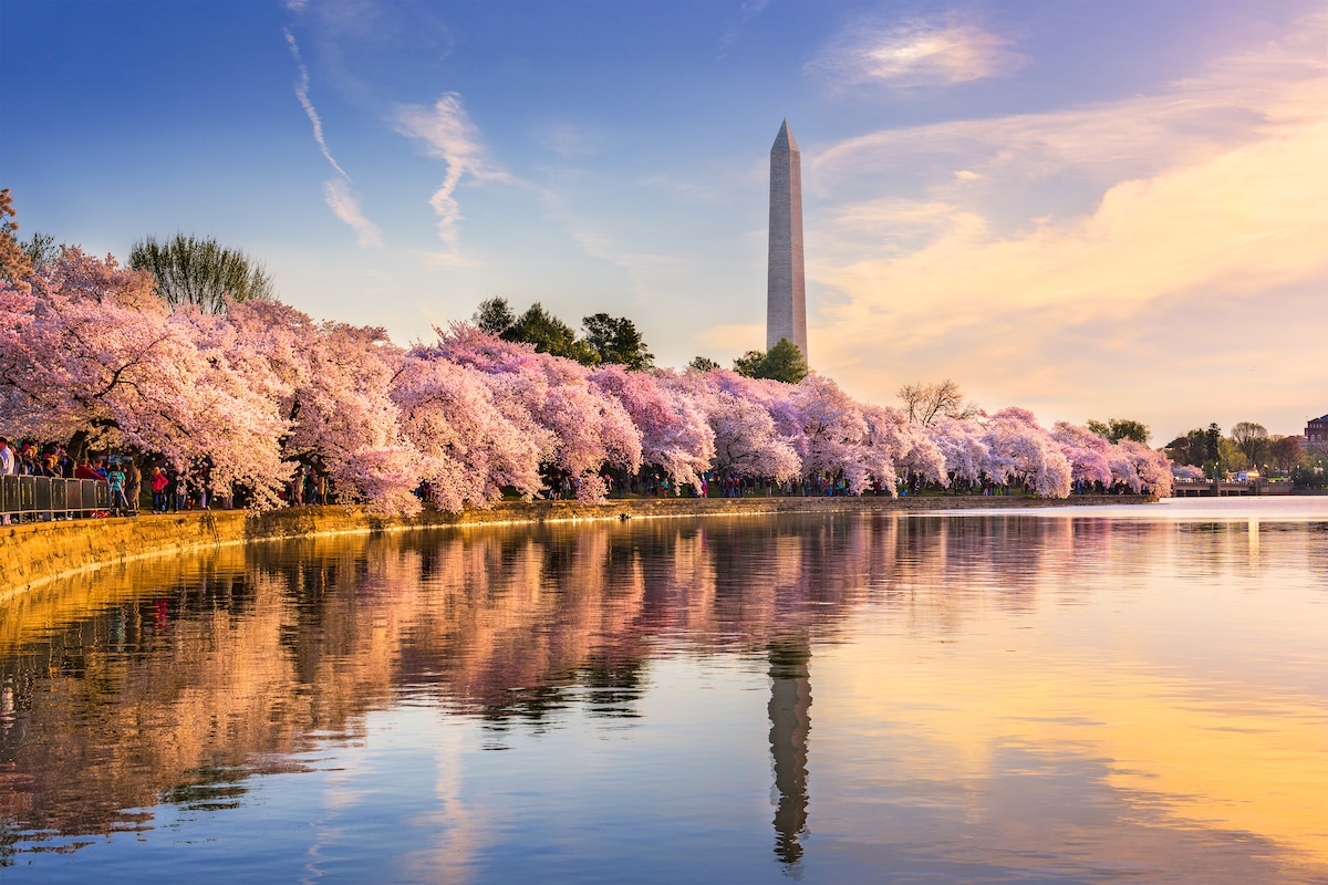 18 Fantastic Things To Do In D.C. This March - Secret D.C.