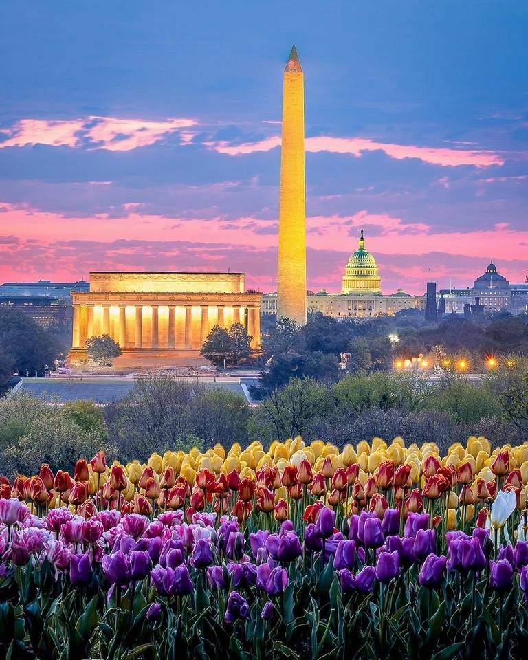 30 Fun Things To Do Around D.C. You Have To Do At Least Once