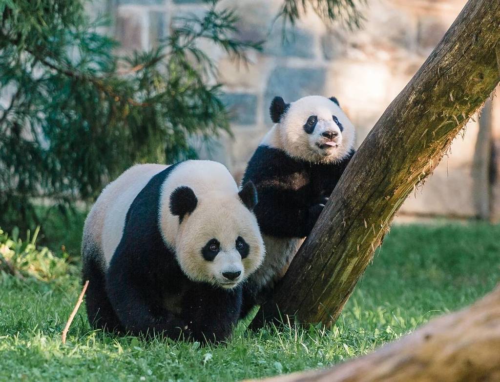 30 Fun Things To Do Around D.C. You Have To Do At Least Once