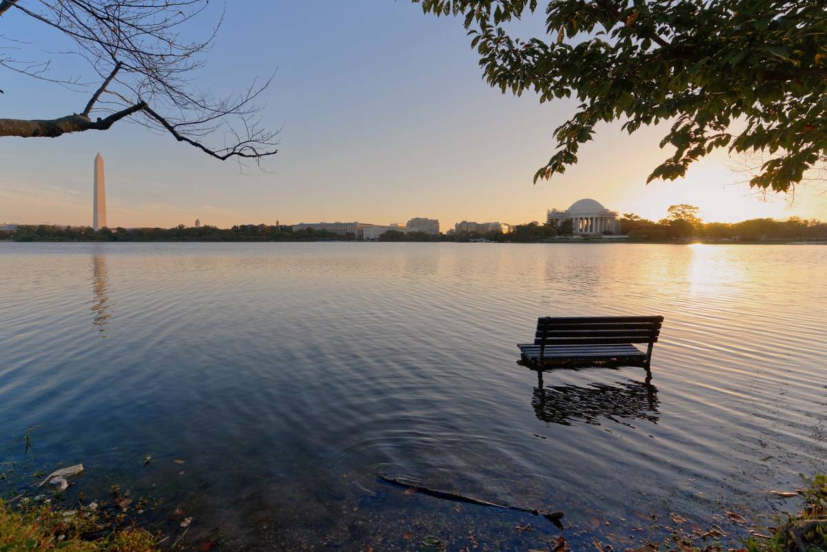 Tidal Basin Seawall Construction To Take Years & 158 Cherry Trees