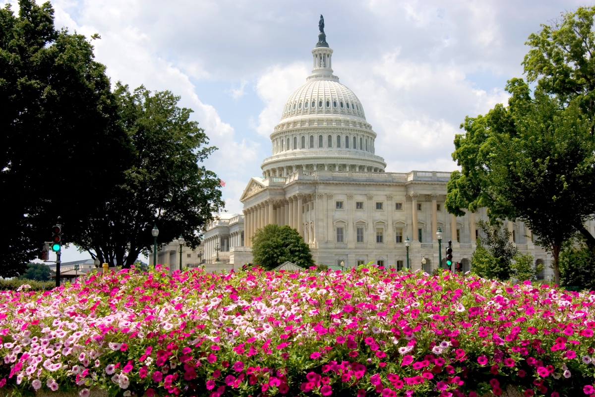 D.C. Expects To Break Its Tourism Record Again This Summer