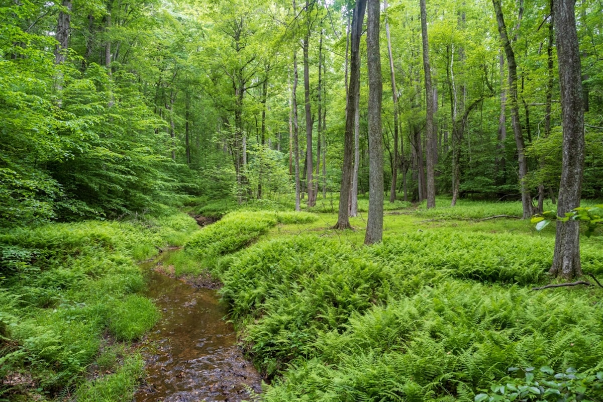 This Breathtaking National Park Is One Of D.C.’s Best-Kept Secrets