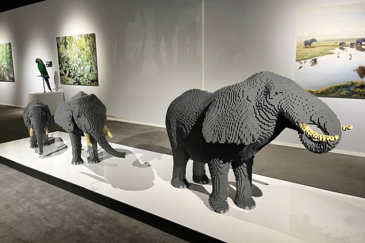 We Visited D.C.’s LEGO® Art Exhibit & It Was Next-Level